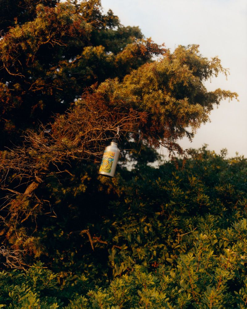 Loewe Eye/Loewe/Nature 2019 (Loewe)