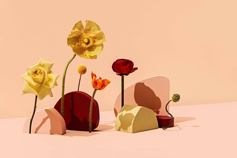 NUULY Launch Campaign (Various Campaigns)