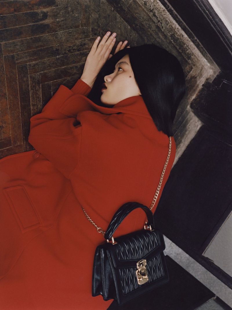 Miu Miu Chinese New Year 2019 Special Collection (Miu Miu)