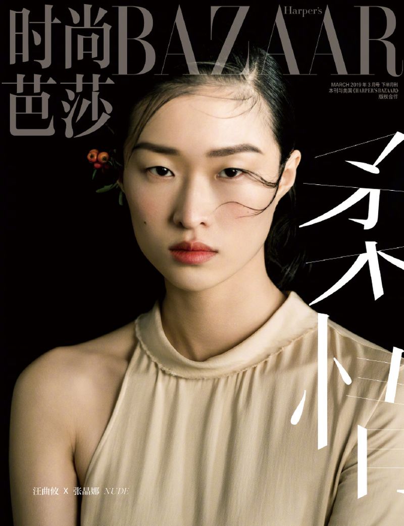 Harper's Bazaar China March 2019 Covers (Harper's Bazaar China)