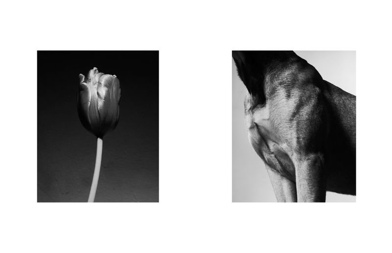 Jack Davison Personal Work (Portrait)