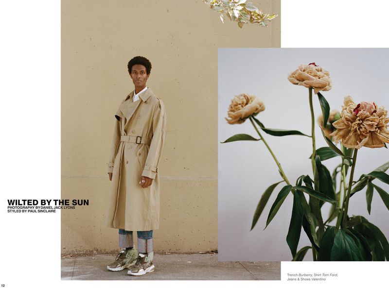 Wilted By the Sun by Daniel Jack Lyons (At Large Magazine)