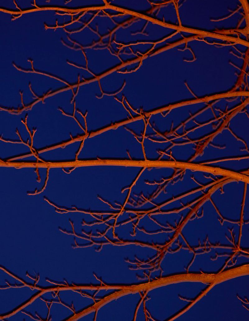 Nocturnal (L'Officiel Mexico)