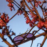 Photography Jean-Marie Binet (L'Officiel Hommes Italia)