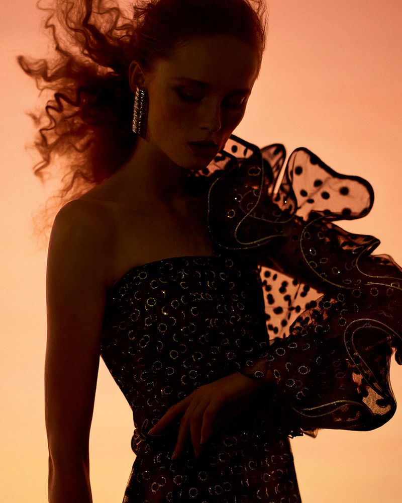 Alberta Ferretti F/W 2019 (Alberta Ferretti)