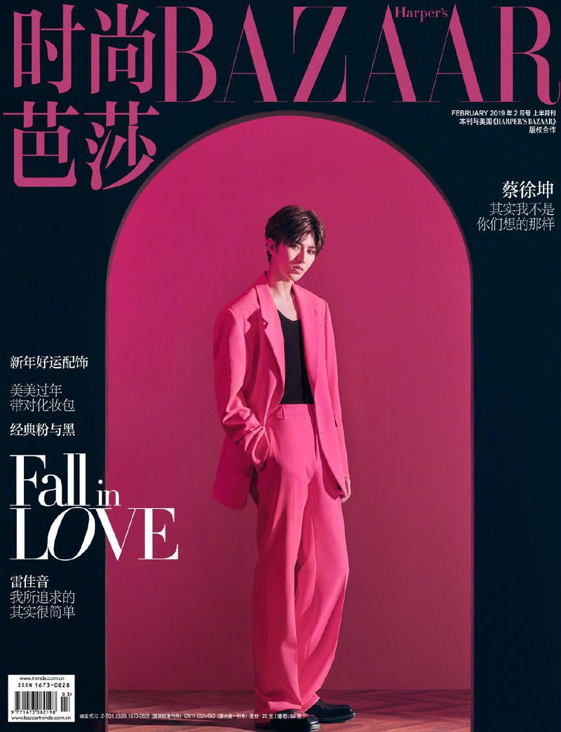 Harper's Bazaar China February 2019 Cover (Harper's Bazaar China)