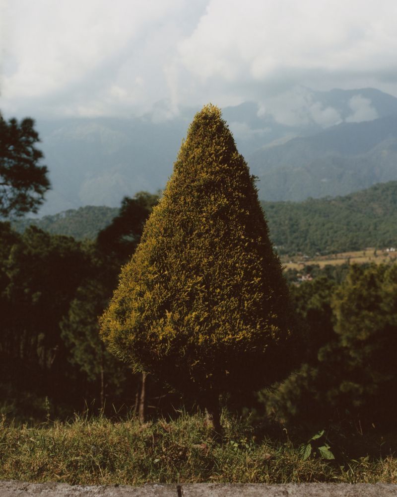 Photography Tom Johnson for Entorse Magazine (Various Editorials)