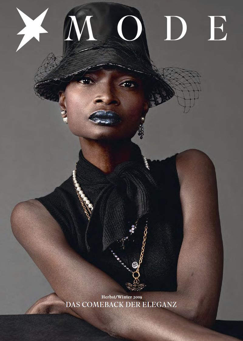 Stern Mode Supplement Fall 2019 Cover (Stern Mode)