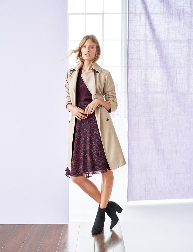 Ann Taylor Fall 2019 (Ann Taylor)