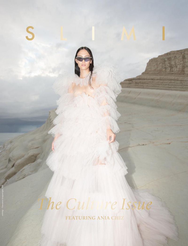 SLIMI Magazine Fall 2020 Covers: The Culture Issue (SLIMI Magazine)