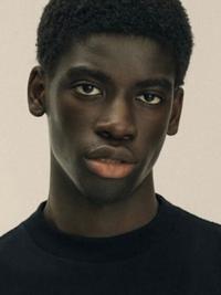 Ronald Dadey - Model - detail by year