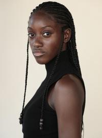 Indu - Model - detail by client