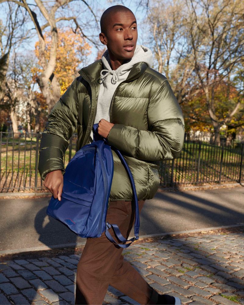 MZ Wallace Campaign by Ryan Dorsett (Various Campaigns)