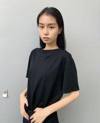 Jiayu Zhao - Model - detail by client