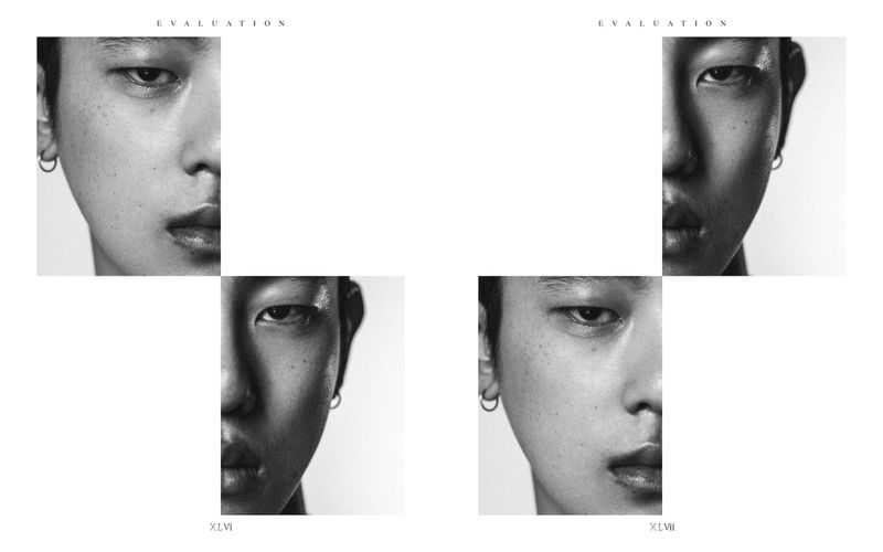 EVALUATION - A Wonderwall Book (Book)