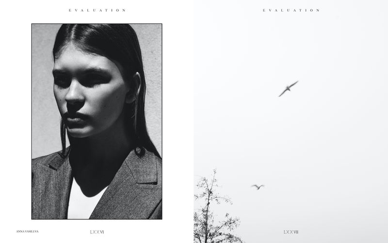 EVALUATION - A Wonderwall Book (Book)