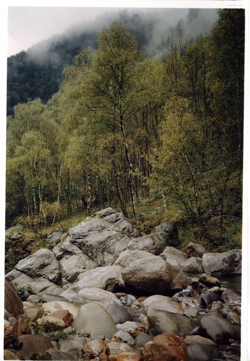 Mountains Trail (Portrait)