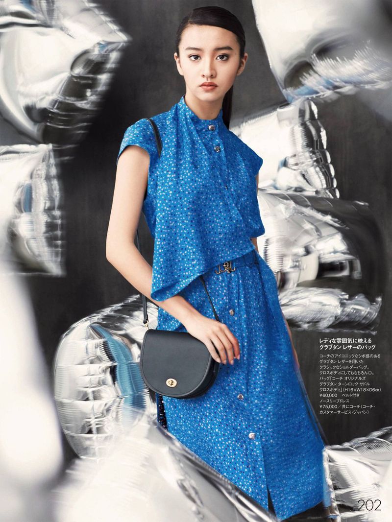 ELLE JAPAN ×COACH (Elle Japan)