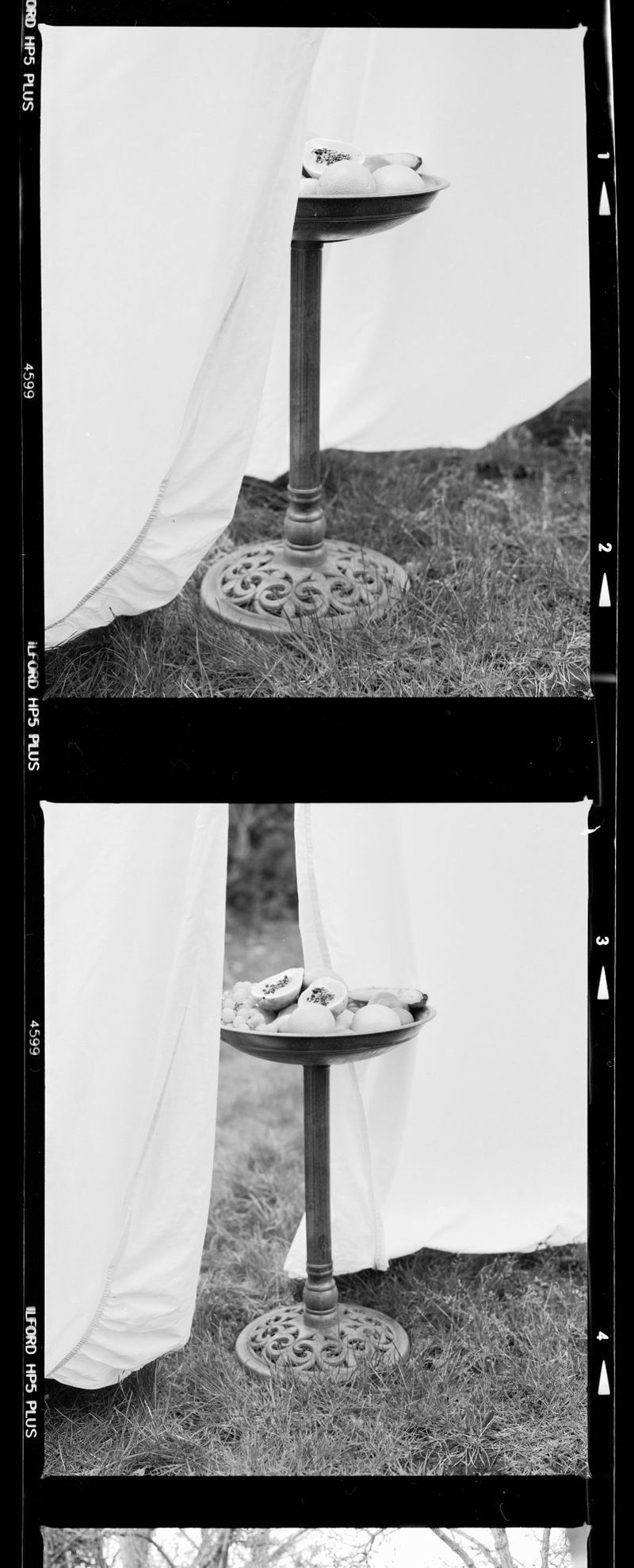 Miu Miu special by Eleonora Agostini x Beyond - Take Care (Various ...