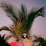 DIY GOA (The Hunger Magazine)