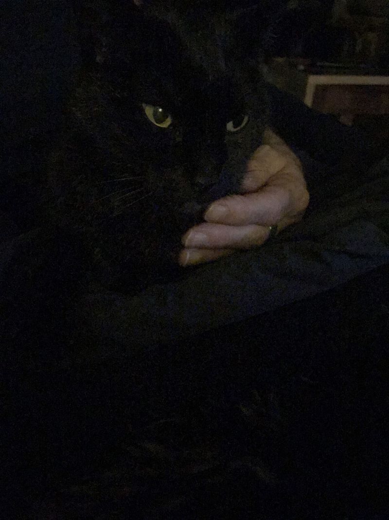 How We Survive A Plague (Dazed Magazine)