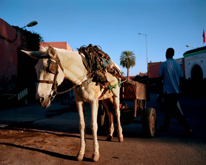 Join a Nomadic Chinese Artist Community on an Odyssey From Morocco to ...
