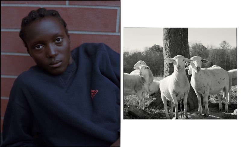 Love Magazine - Diaries (Love Magazine)