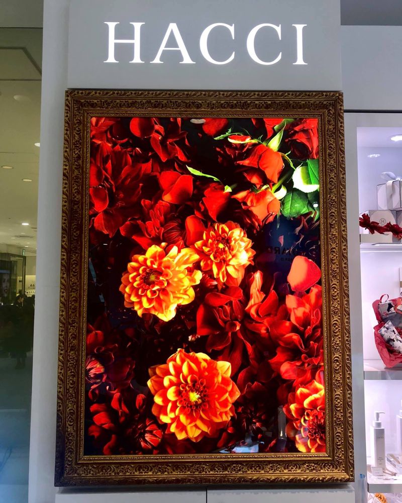 HACCI 2019 Campaign (Various Campaigns)