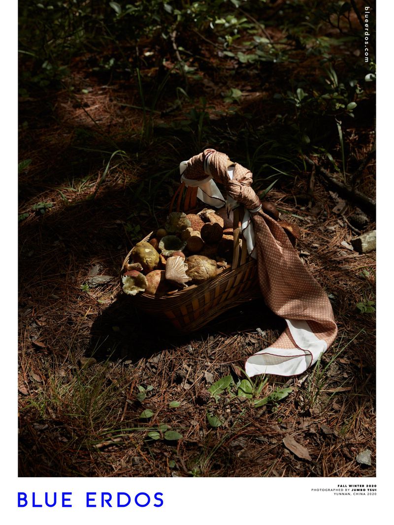 BLUE ERDOS Fall / Winter 2020 Campaign (Erdos)