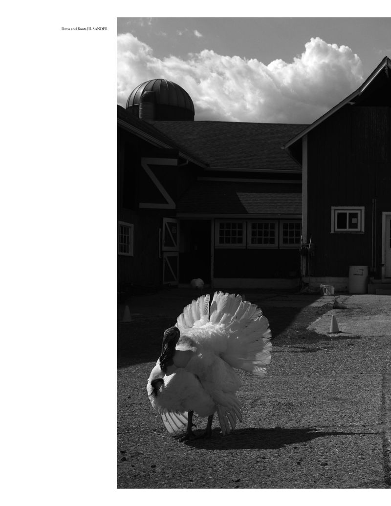 Aaron Philip (Design Scene)