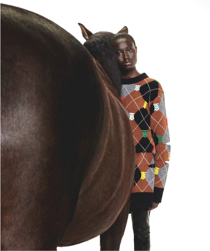 Burberry Fall 2020: November B Series (Burberry)