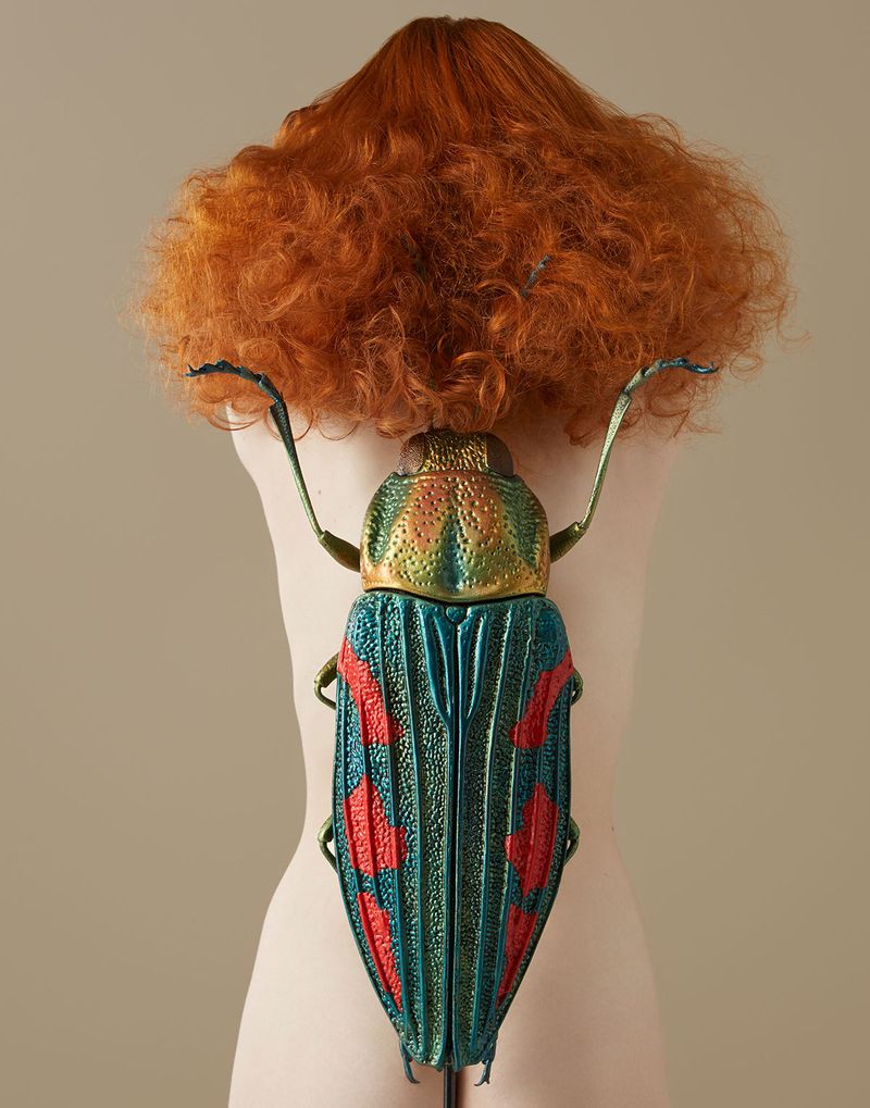 Insect beauty (Neo 2)