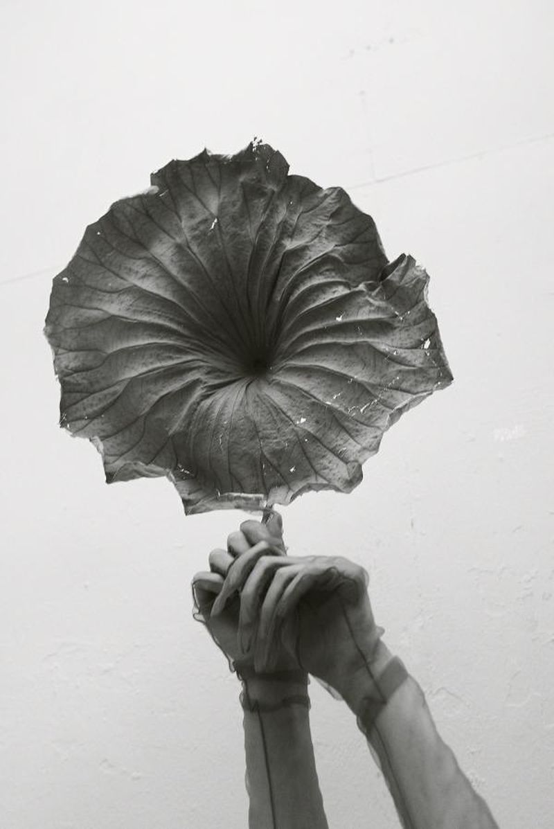 Freddy by Sarah Storch (Portrait)