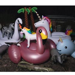 Jei Lee - Model Profile - Photos & latest news