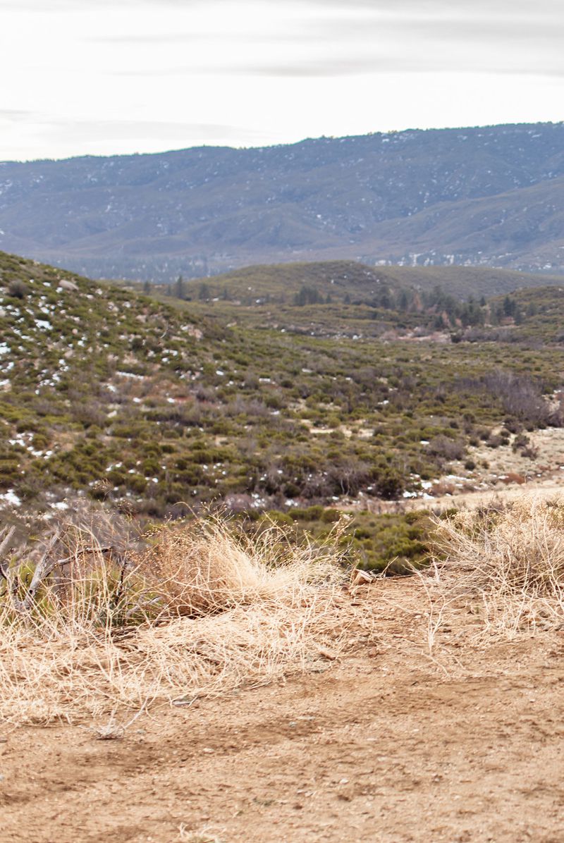 The Ranch by France Duque & Jesse Rambis (Maxim Mexico)