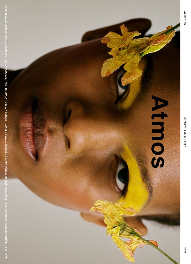 Atmos Magazine Vol 05: Hive Covers (Atmos Magazine)