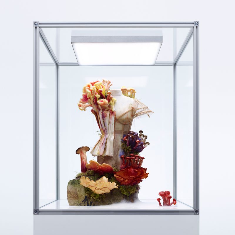 The Core of Del Core (Del Core)