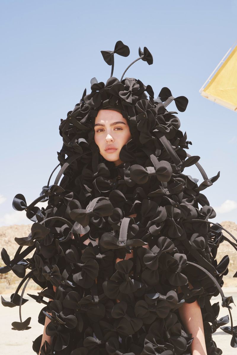 Amelia Gray Hamlin The Perfect Magazine