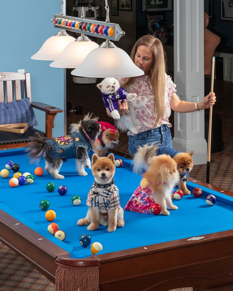 Fur Babies (VOGUE.com)