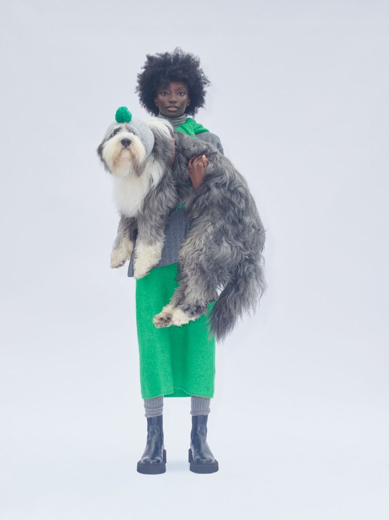 The New Pet Collection - Zara A/W 2021 (Zara)