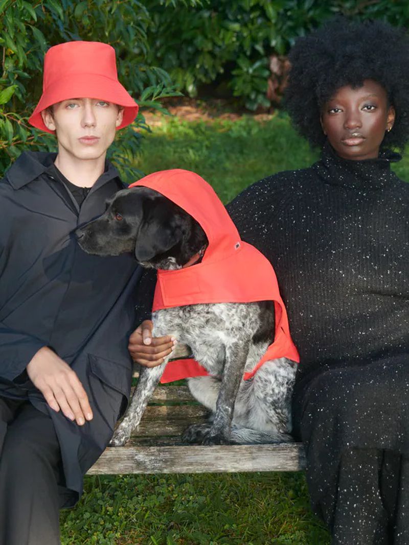 The New Pet Collection - Zara A/W 2021 (Zara)