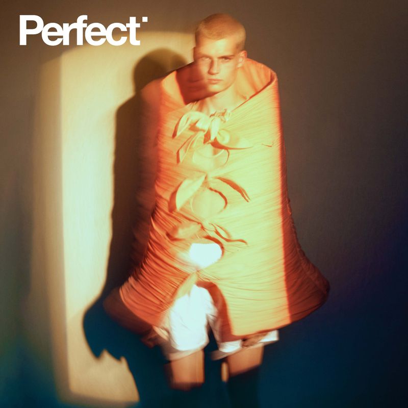 The Perfect Magazine Issue 1 F/W 2021 Covers (The Perfect Magazine)