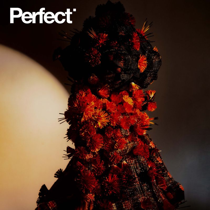 The Perfect Magazine Issue 1 F/W 2021 Covers (The Perfect Magazine)