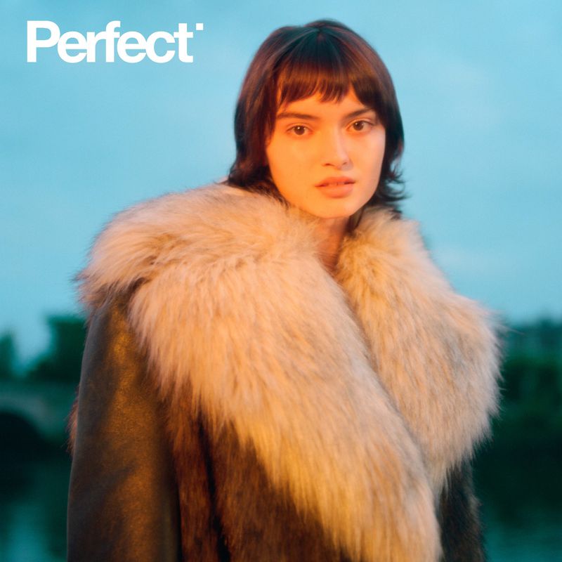 The Perfect Magazine Issue 1 F/W 2021 Covers (The Perfect Magazine)