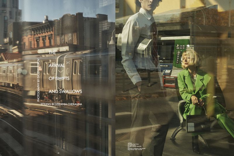 The Arrival Of Swifts And Swallows (Nicotine Magazine)