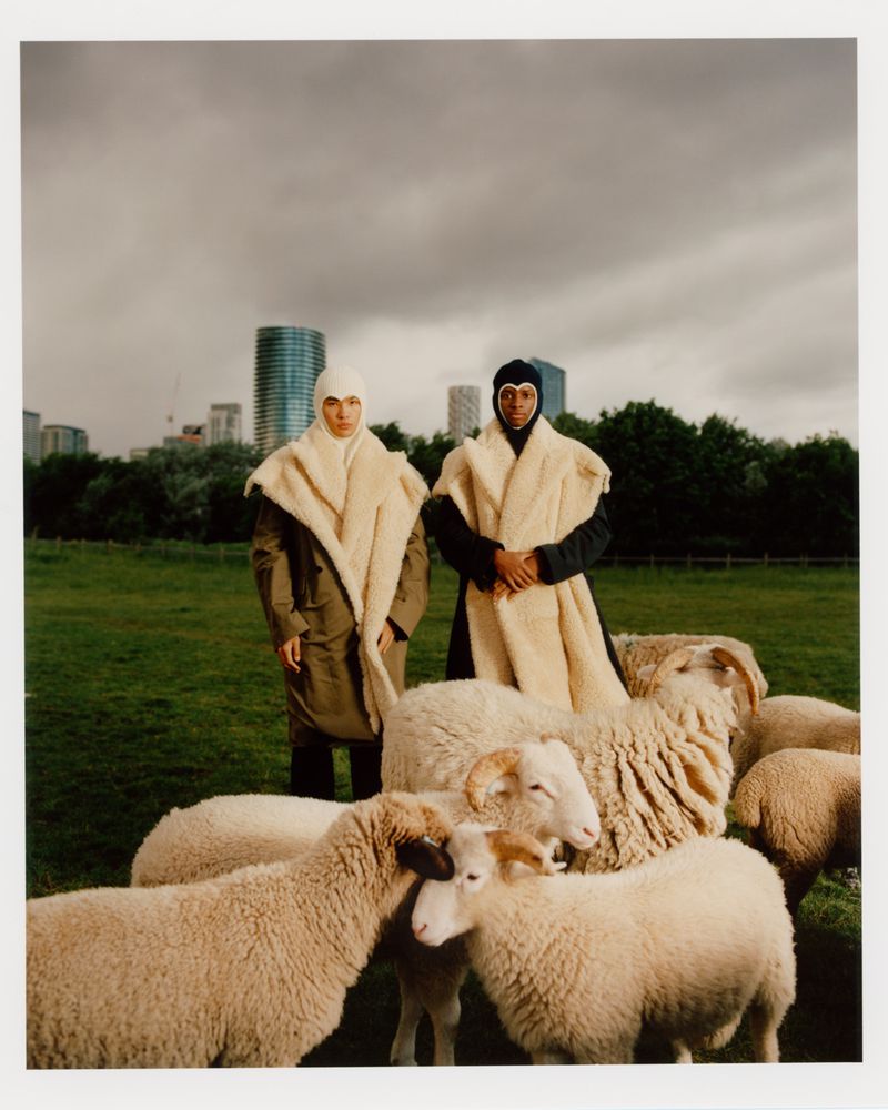 Shear Perfection (WSJ)