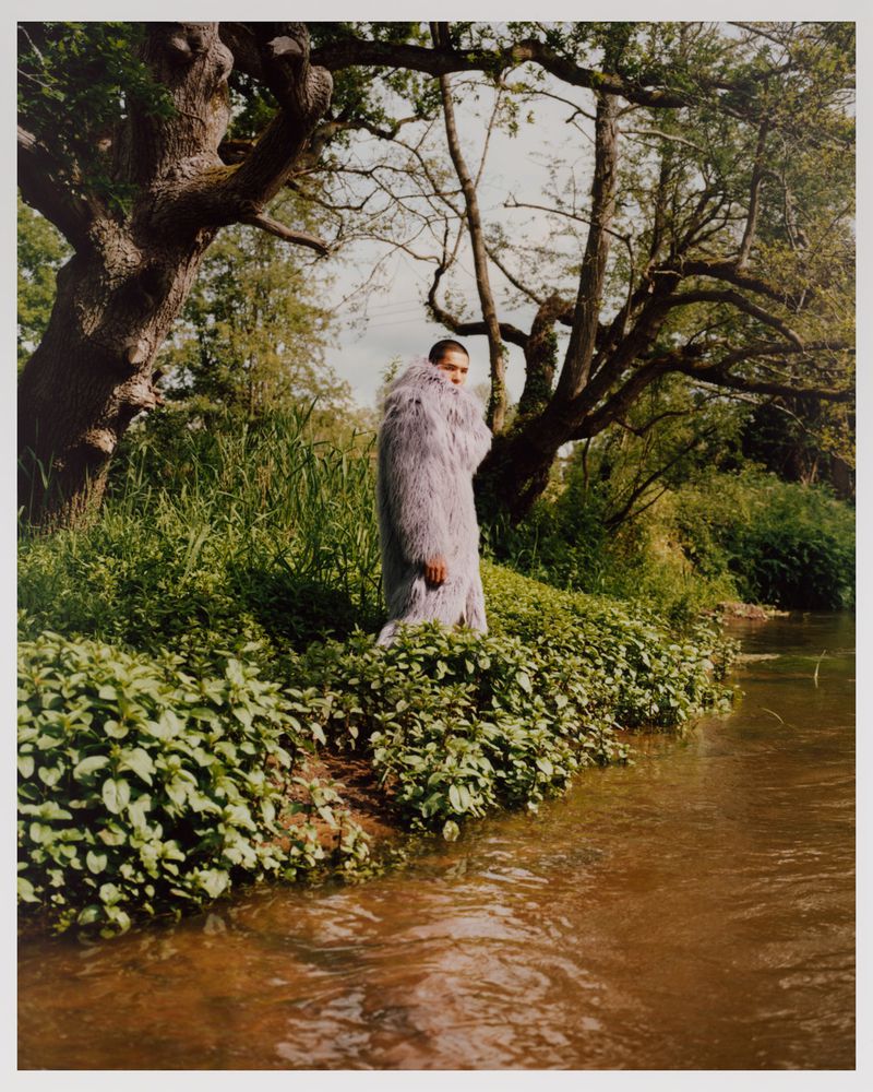 Shear Perfection (WSJ)