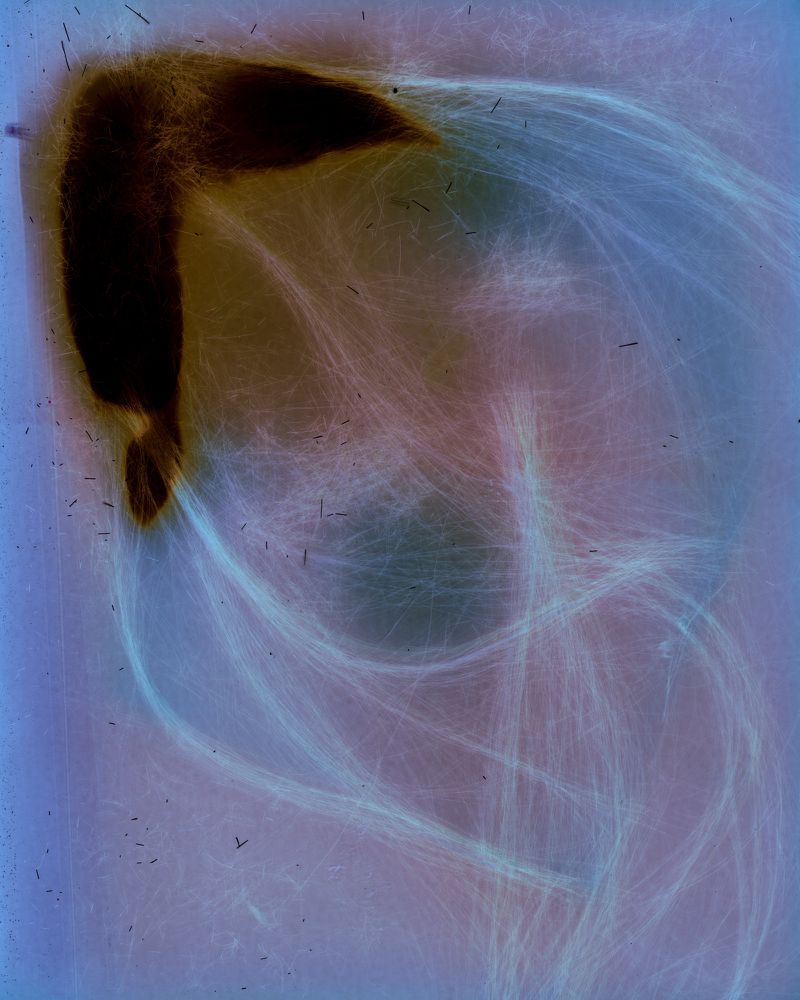 Transformative Nature (Autre Magazine)