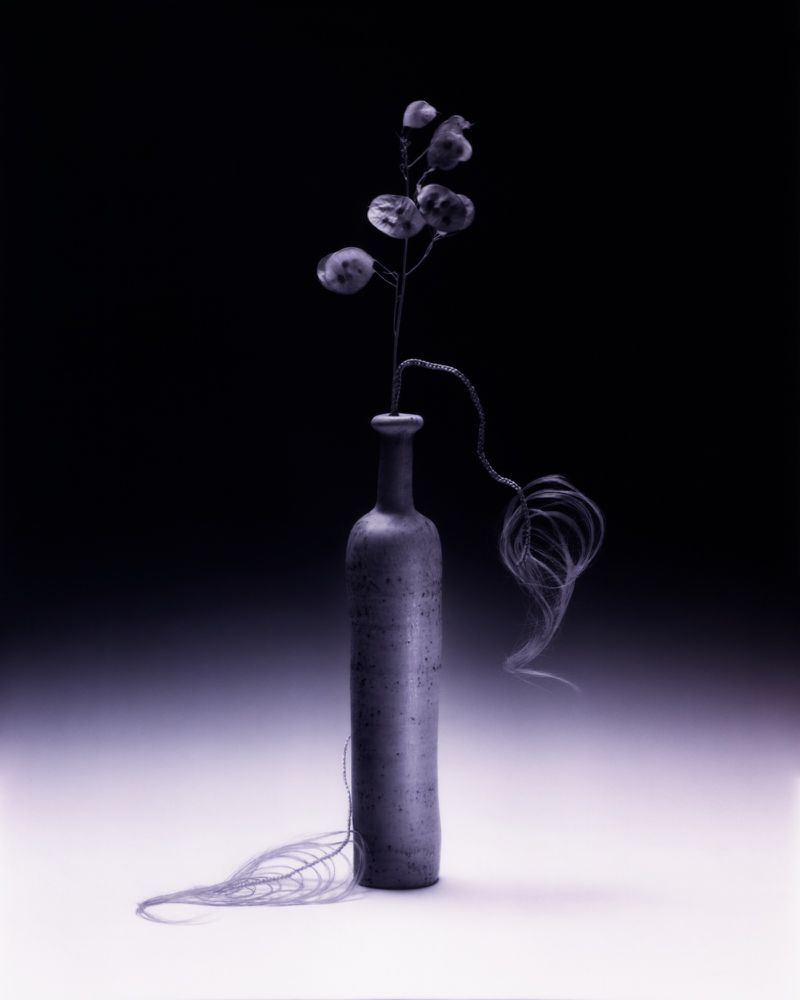 Arranging Shadows (Portrait)