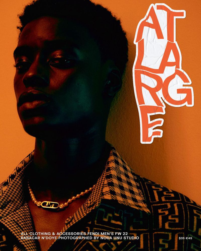 At Large Magazine 17 Fall 2022 Covers (At Large Magazine)